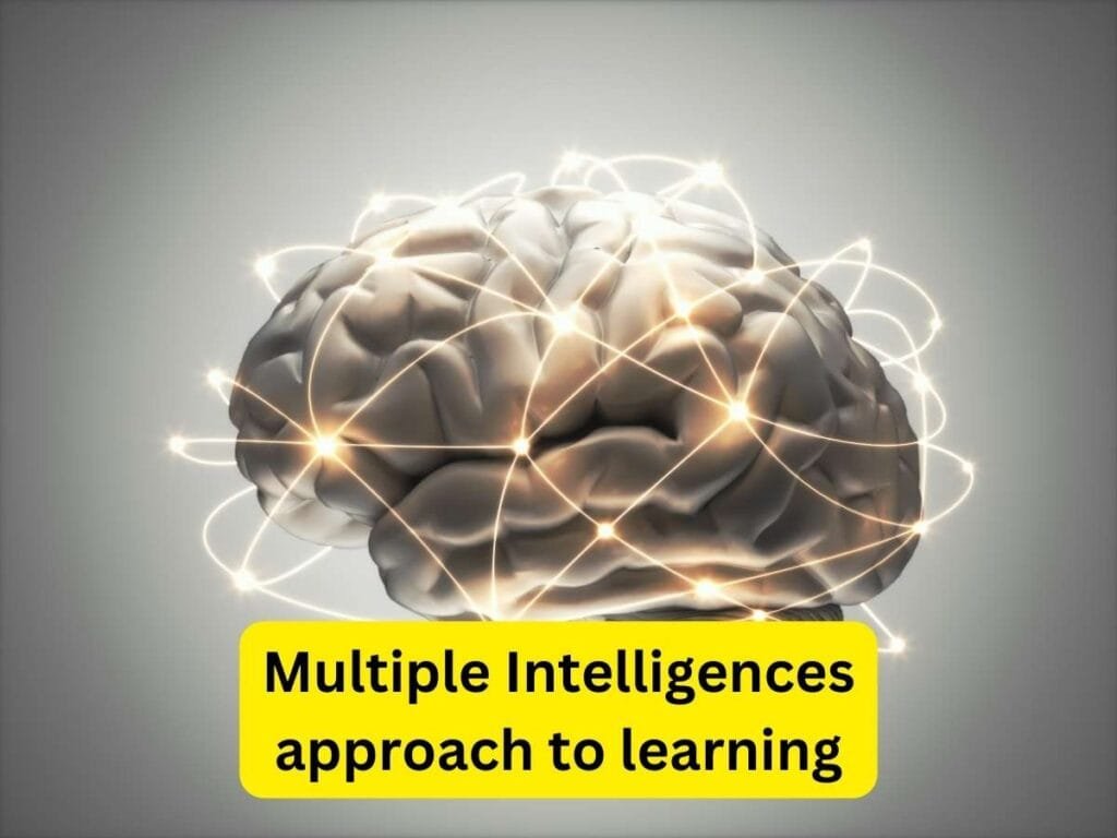 Multiple intelligences approach to learning - Vidhyanjali Academy School